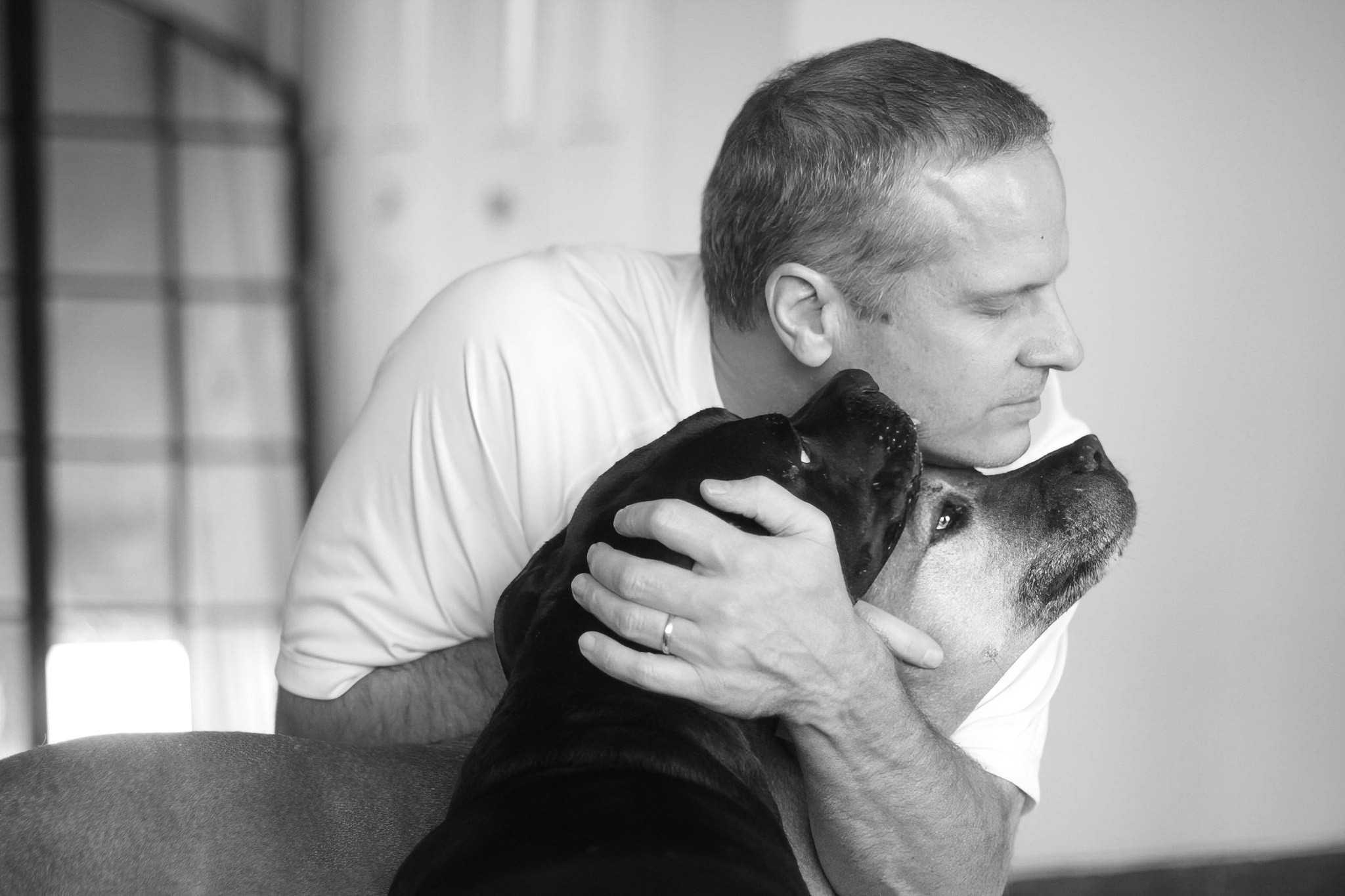 Mobile Veterinary Services in Tampa & St. Petersburg | Pinellas Pet ...